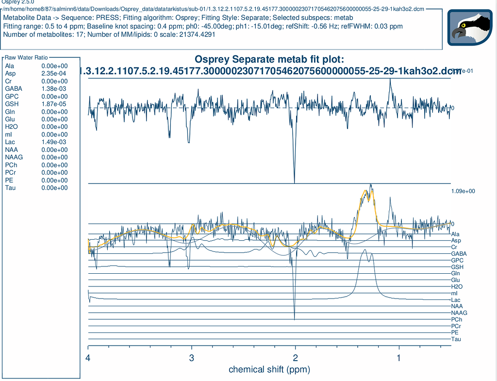 Problems with data being flipped - Osprey - MRSHub Forum